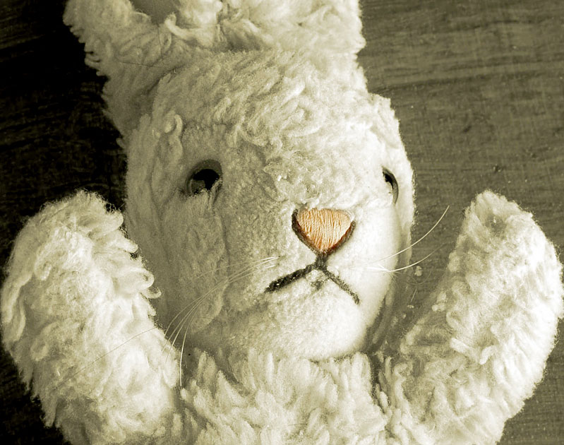 White Rabbit, Red Rabbit - Fort Mason Center for Arts & Culture