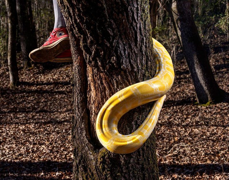 PhotoAlliance 2024 Lecture Series: Caroline Drake & Ebti - Fort Mason ...